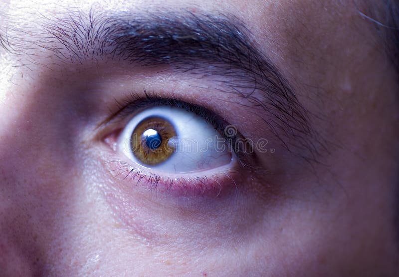 Man s Eye stock image. Image of person, human, eyebrow - 13382527