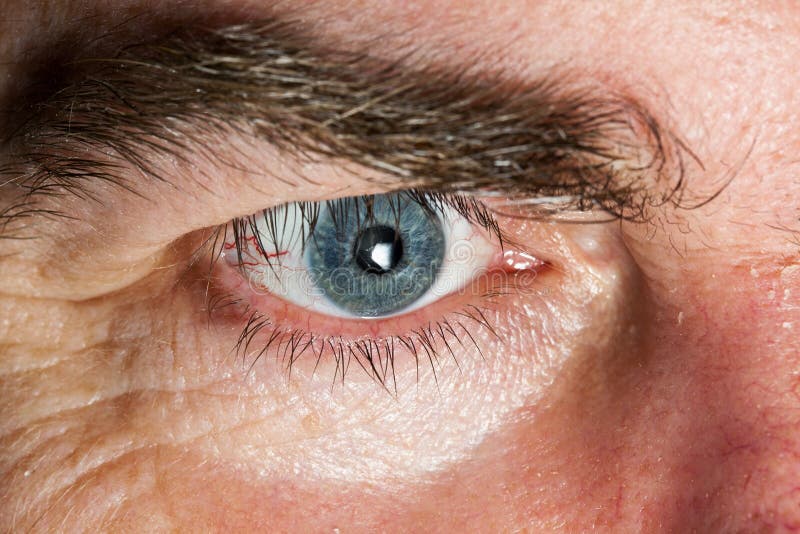Man s eye stock image. Image of close, turquoise, macro - 24793479