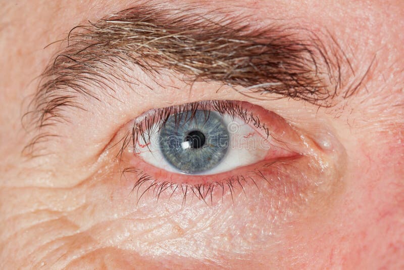 Man s eye stock image. Image of blue, skin, close, contact - 25168917