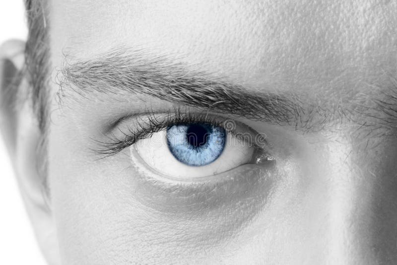 Man s eye stock photo. Image of eyebrow, ophthalmology - 3431590