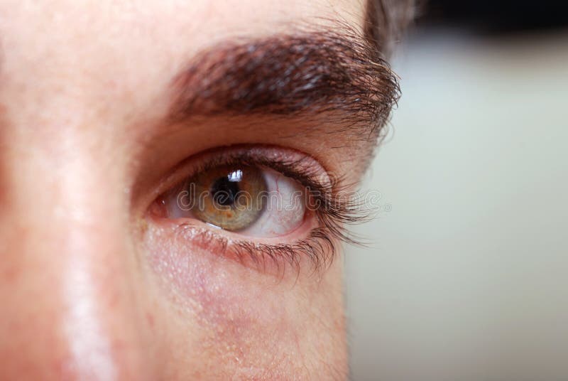 A man s eye closeup stock image. Image of eyelash, sight - 4960041