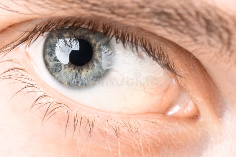 Eyes close-up stock image. Image of american, beauty - 141584699