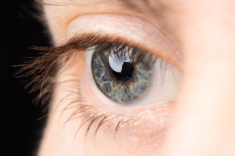 Eyes close up stock image. Image of iris, ball, eyebrow - 141584727