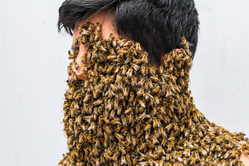 Man& X27;s Face Covered by Bees. Stock Image - Image of leisure, close ...