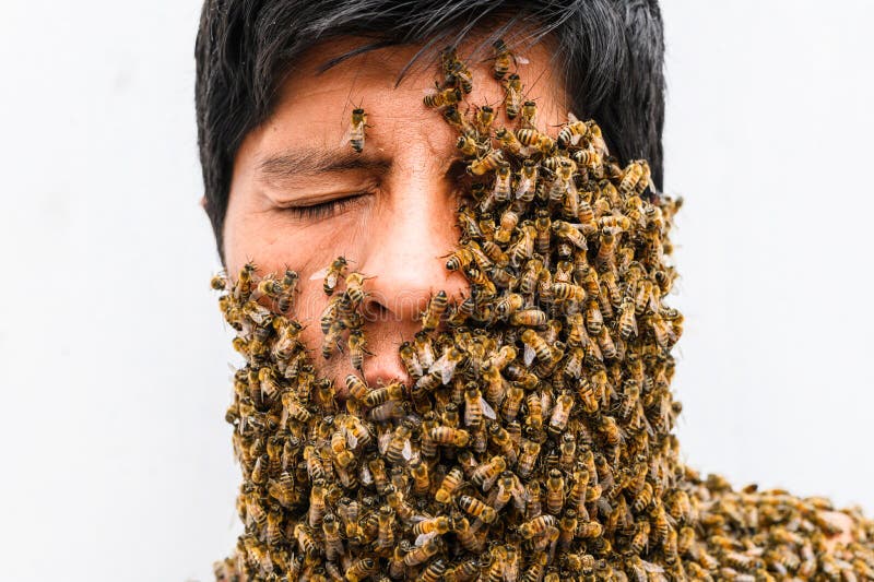 Man& X27;s Face Covered by Bees. Stock Photo - Image of insects, insect ...