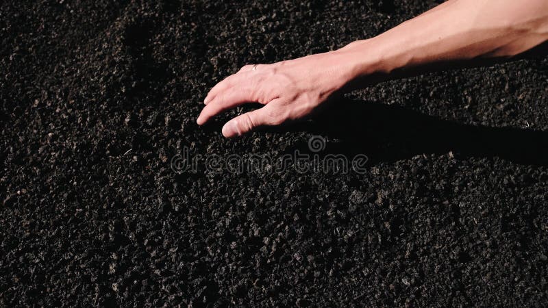 Man S Hand with Black Volcanic Lava on Volcan Chinyero Stock Footage ...