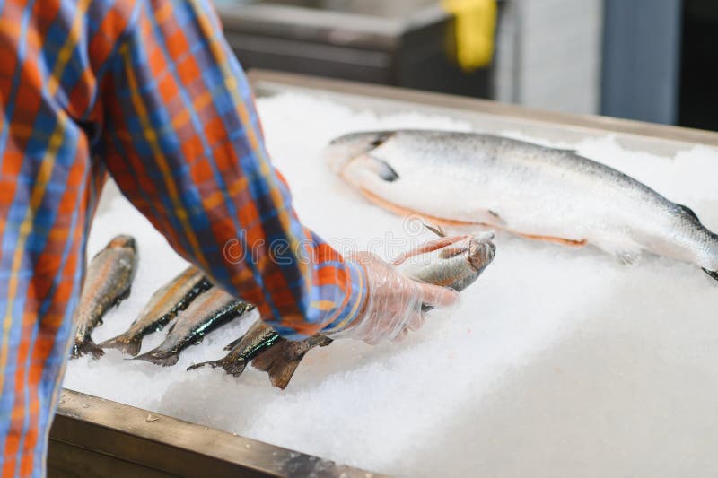 Man& X27;s Hand Choosing Fish for Cooking Stock Photo - Image of label ...