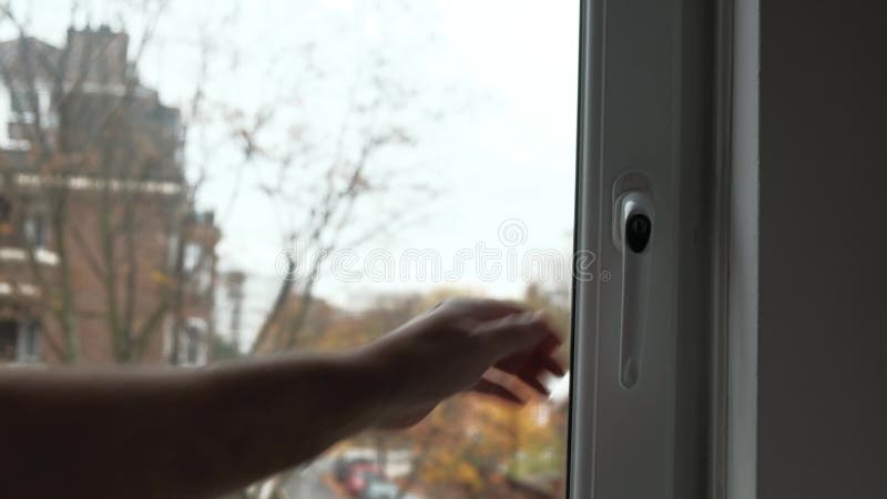 Jorge Elizaquibel (Jorgeliz) - Photographer profile