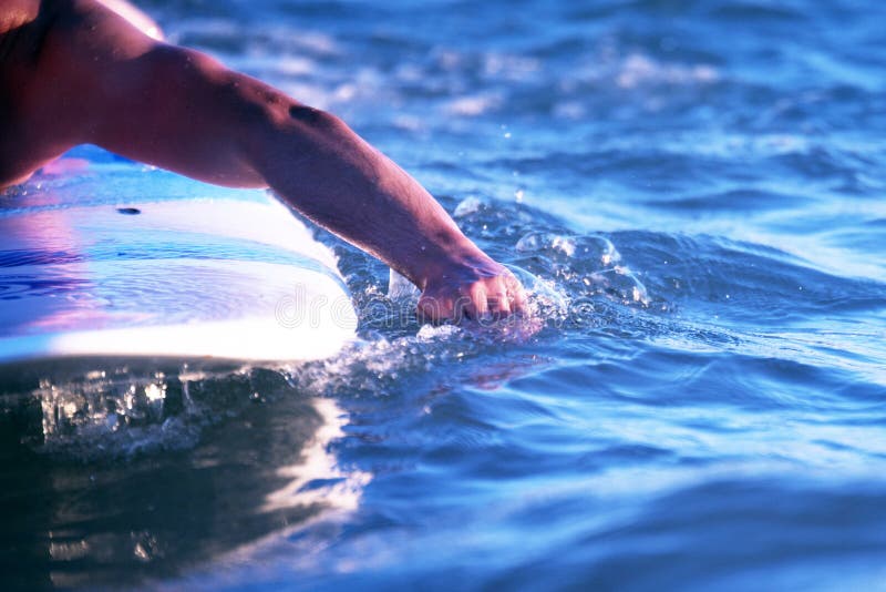The Man`s Hand Floating on Paddleboard Stock Image - Image of leisure ...