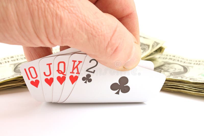 Hand holding razor clams stock image. Image of edible - 8327805