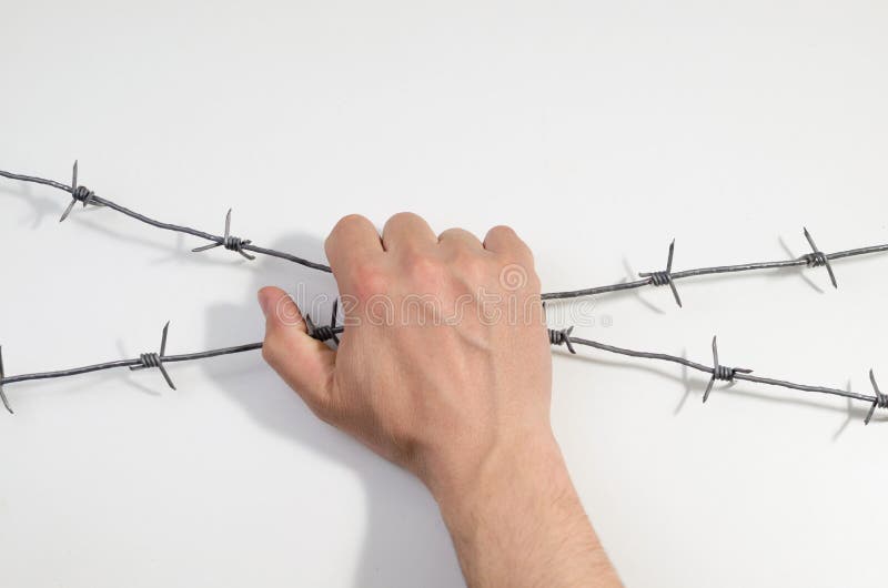 Man`s Hand Holds Onto Barbed Wire Stock Image - Image of close, sharp ...