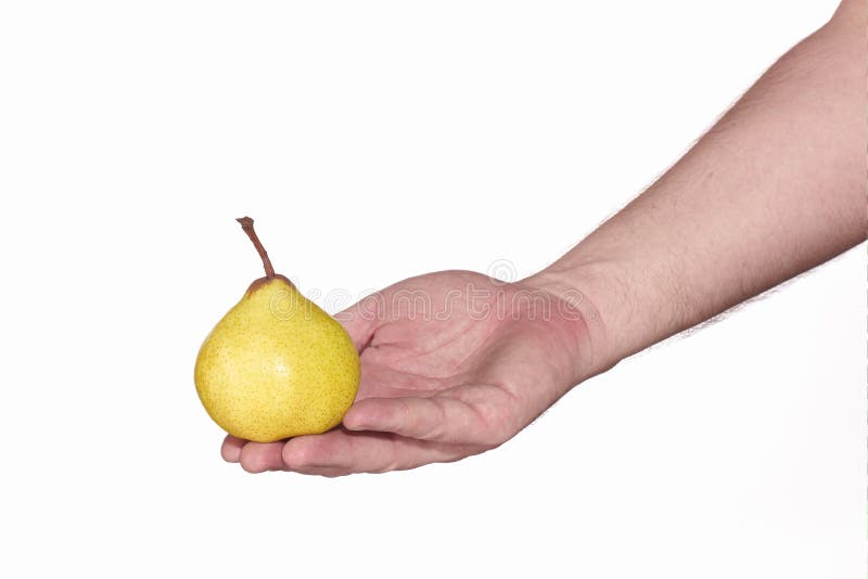 The Man S Hand Holds Yellow Pear. Stock Image - Image of handful, cute ...