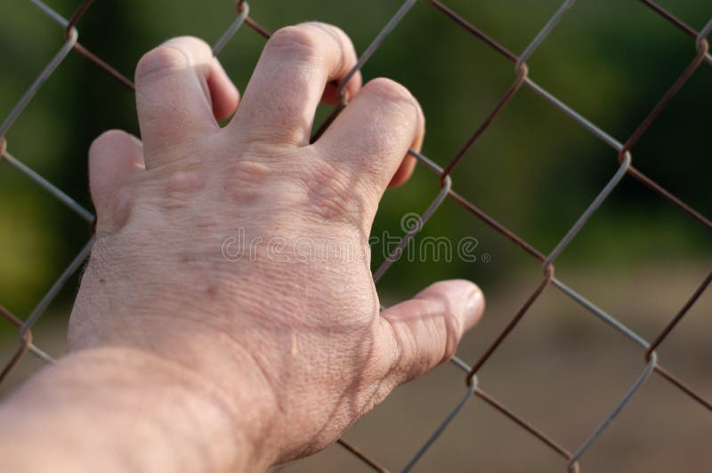 Man`s Hand on the Iron Mesh Stock Image - Image of metallic, person ...