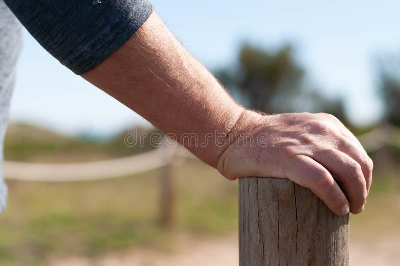 Hand of Boy with Haw Stump in Fingers on Green Stock Photo - Image of ...