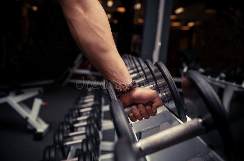 Man S Hand Takes a Heavy Dumbbell in Gym Stock Photo - Image of ...