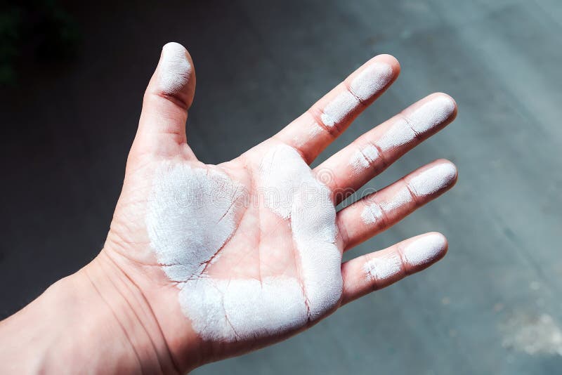 Dutch suburban house stock image. Image of front, garden - 5264929