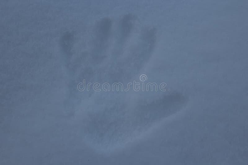 Man`s Handprint on the Snow in Winter Stock Photo - Image of human ...