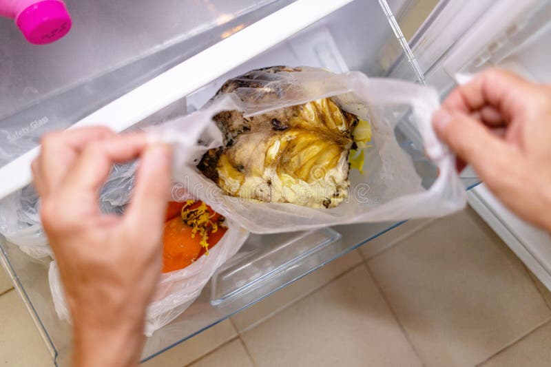 114 Rotting Food Refrigerator Stock Photos - Free & Royalty-Free Stock ...