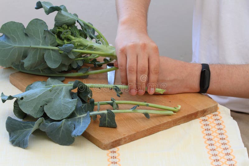 Man S Hands Cutting Fresh Raw Broccoli Leaves Off Stock Photo - Image ...