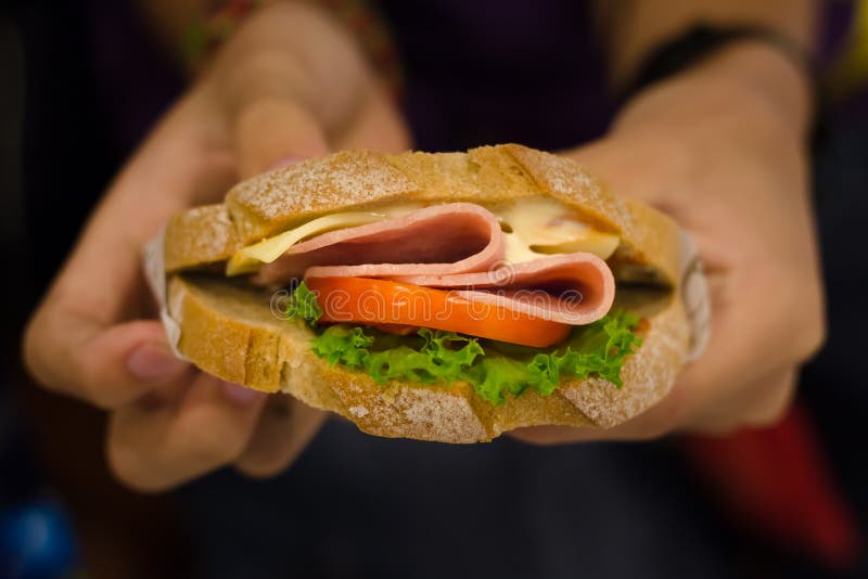 Man S Hands, Holding Onto a Sandwich Stock Photo - Image of hands, meal ...