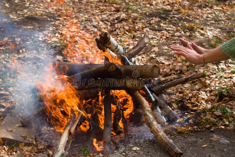 Camp fire in forest stock image. Image of flare, hell - 129279903