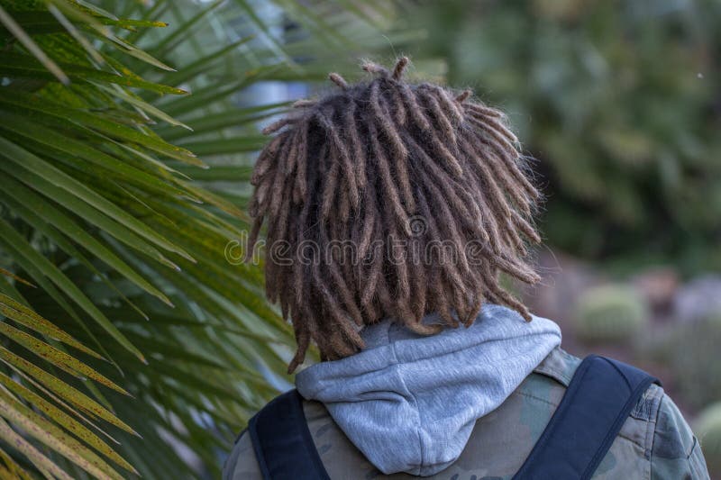 Man& X27;s Head with Dreadlocks Stock Photo - Image of person ...