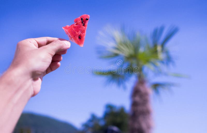 Man`s Keeps the Watermelon Piece on the Toothpick on the Blue Sk Stock ...