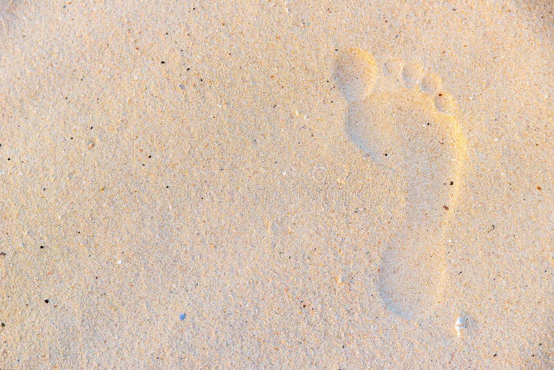 Man S Right Foot Footprint on Light Beach Sand, Mexico 2015 Stock Photo ...