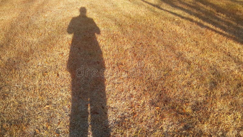 Man`s Shadow on a Brown Grass Playground with Sun Light Stock Image ...