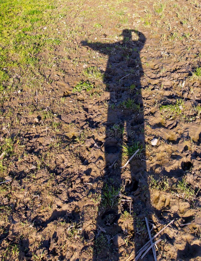 Human shadow on ground stock photo. Image of lonely - 182340114
