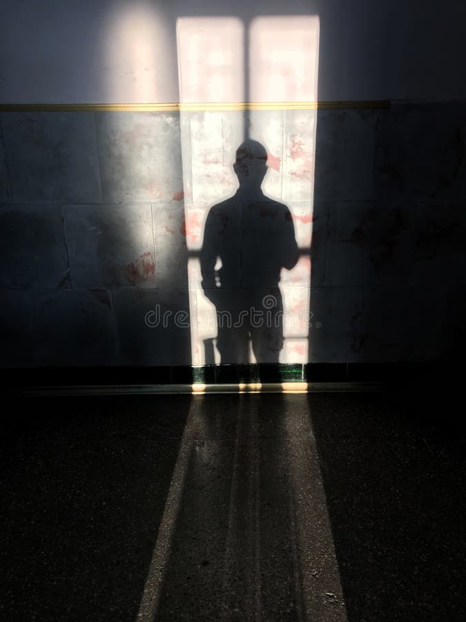 Muscular man in shadow stock photo. Image of macho, muscle - 17939000