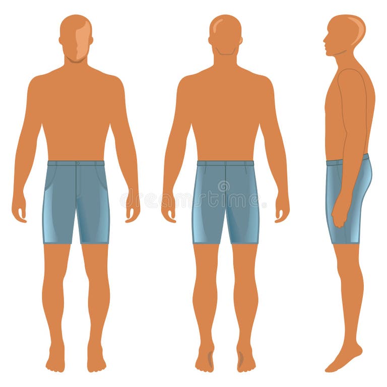 Torso Man's Back Stock Illustrations – 11 Torso Man's Back Stock ...