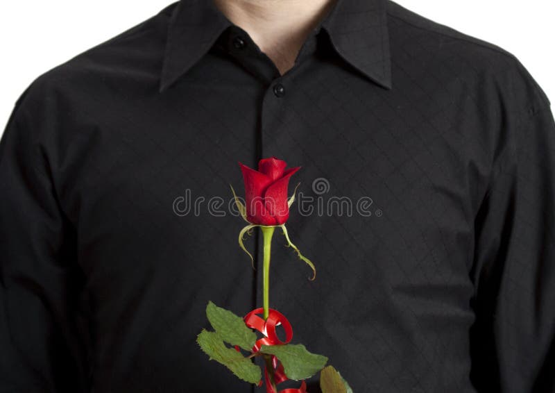 Man Holding Red Rose Behind His Back Stock Image - Image of affection ...