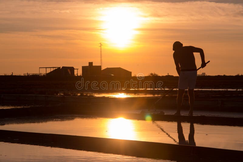 Man in the salt harvest editorial stock photo. Image of color - 99255108