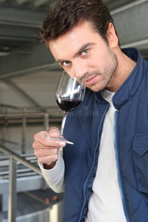 Man Sampling Wine Production Stock Photo - Image of glasses ...