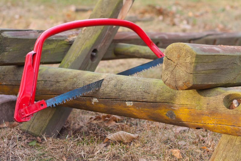 Man and saw stock image. Image of green, clean, nature - 45634757