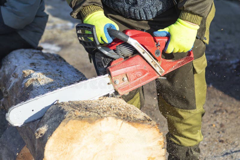 Man Sawing a Big Tree with a Chainsaw. Sawdust Stock Image - Image of ...