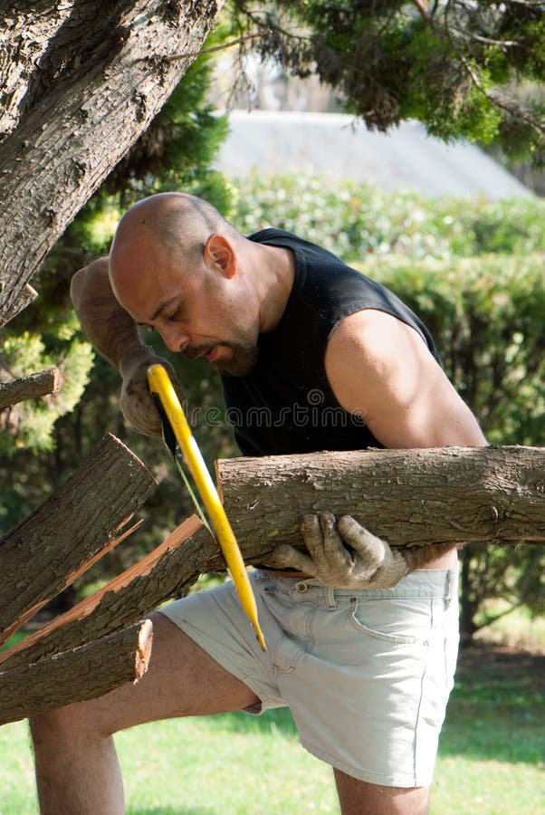 Man Sawing a Branch of Tree with an Handsaw Stock Photo - Image of ...