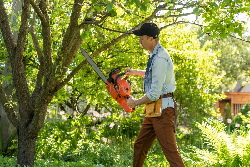 Man Sawing Branches with a Chainsaw. Concept of a Professional Logging ...