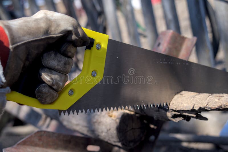 Man Sawing Handsaw Old Tree Branch Stock Image - Image of handsaw ...