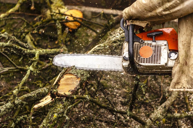Man Sawing a Log in His Back Yard Stock Photo - Image of machine ...