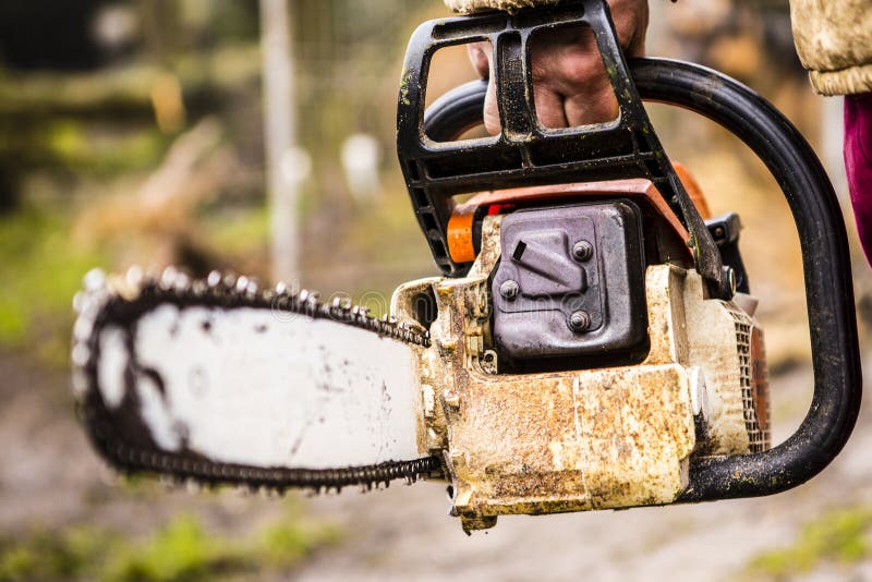 Man Sawing a Log in His Back Yard Stock Image - Image of male, lumber ...
