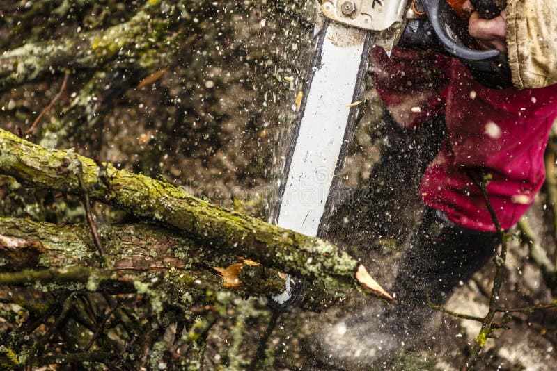 Man Sawing a Log in His Back Yard Stock Photo - Image of male, power ...