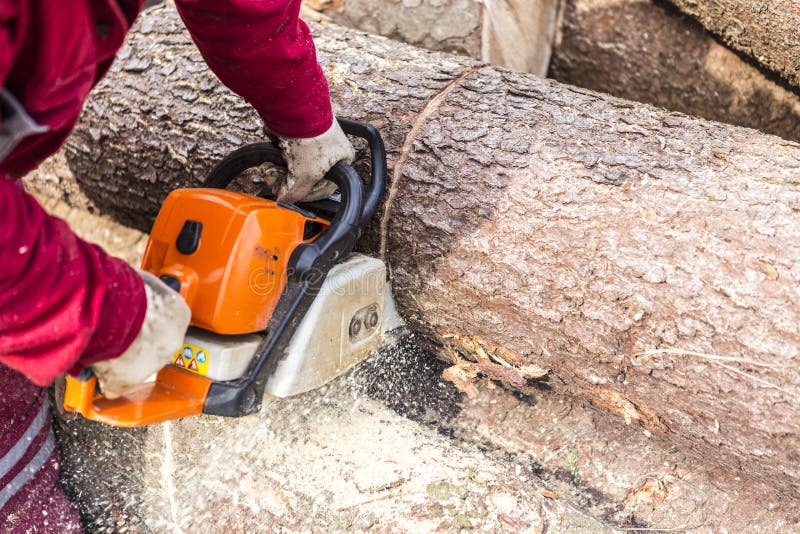 Man Sawing a Log in His Back Yard Stock Image - Image of garden ...