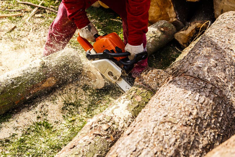 Man Sawing a Log in His Back Yard Stock Image - Image of activity ...