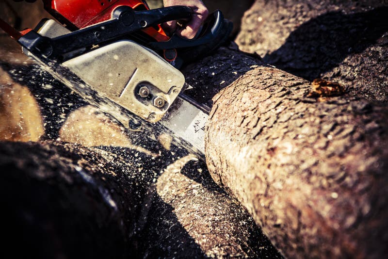 Man Sawing a Log in His Back Yard Stock Image - Image of agriculture ...