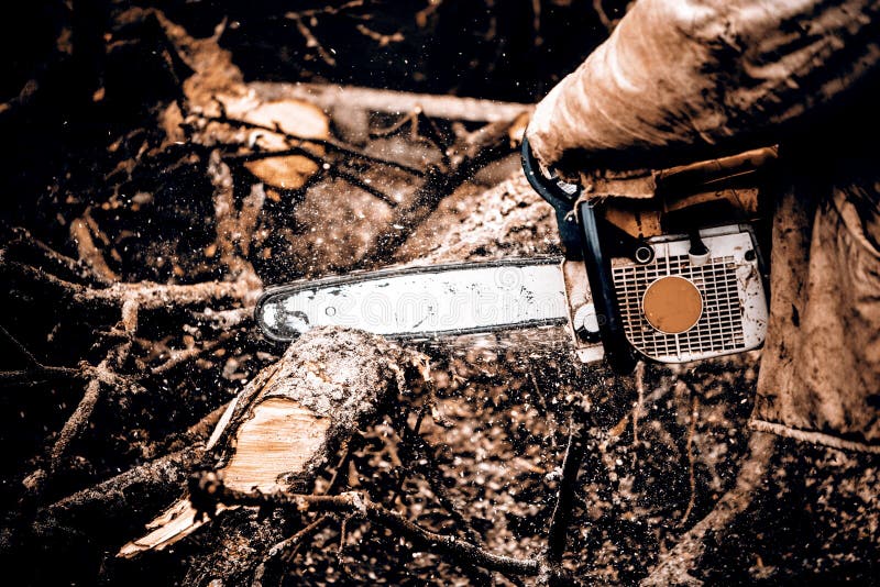 Man Sawing a Log in His Back Yard Stock Image - Image of lumberjack ...