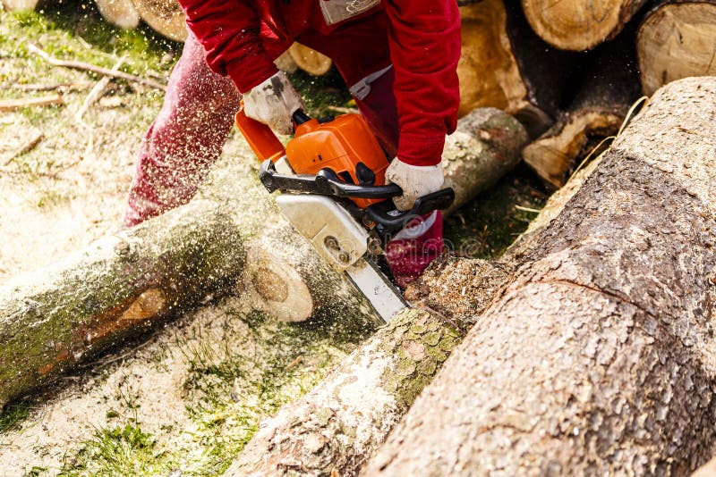 Man Sawing a Log in His Back Yard Stock Photo - Image of protection ...