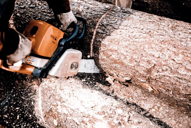 Man Sawing a Log in His Back Yard Stock Photo - Image of industry ...