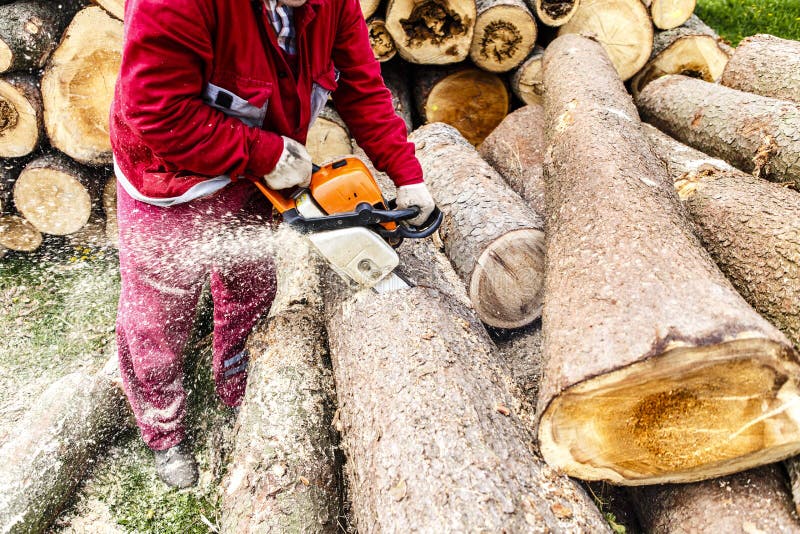 Man Sawing a Log in His Back Yard Stock Photo - Image of equipment ...